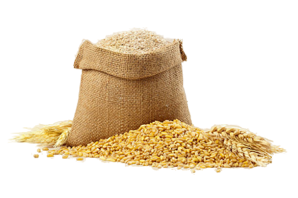 Home [www.goldenmix.it]